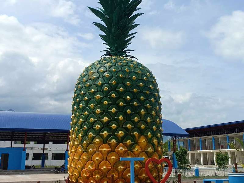 Pineapple Capital of Palawan: Bataraza